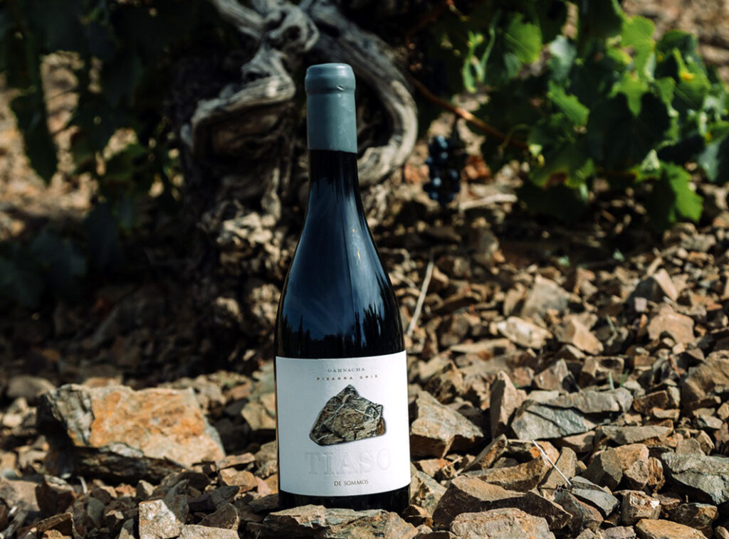 “TIASO 2021, DE SOMMOS GARNACHA”, EL VINO MEJOR VALORADO EN EL ESPECIAL ...